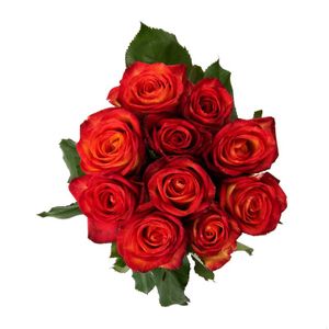 OneCart - Store Product